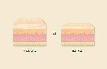 Difference Between Thick and Thin Skin Anatomy: Complete Overview – Knya