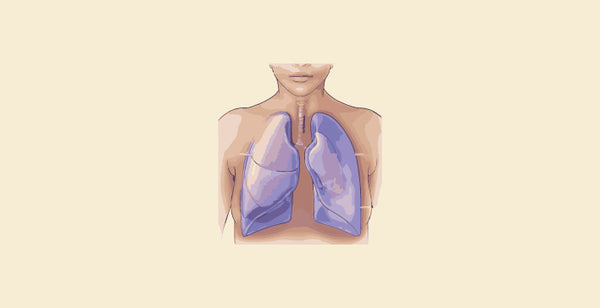 Atelectasis Vs Pneumothorax Empowering The Differences Knya