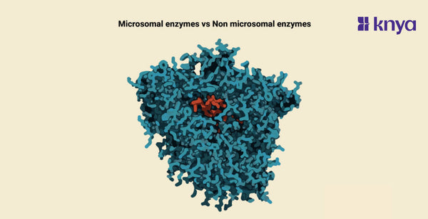 Difference Between Microsomal And Non Microsomal Enzymes Knya